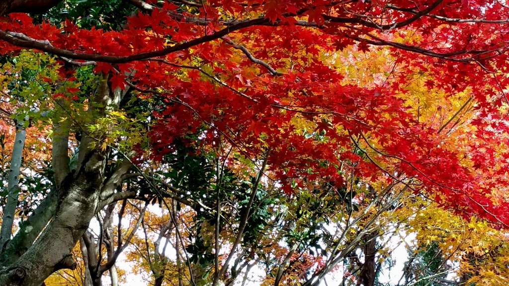 Why Poetry is Better Than Prose – Isaac Tang – Poet, Author, Composer